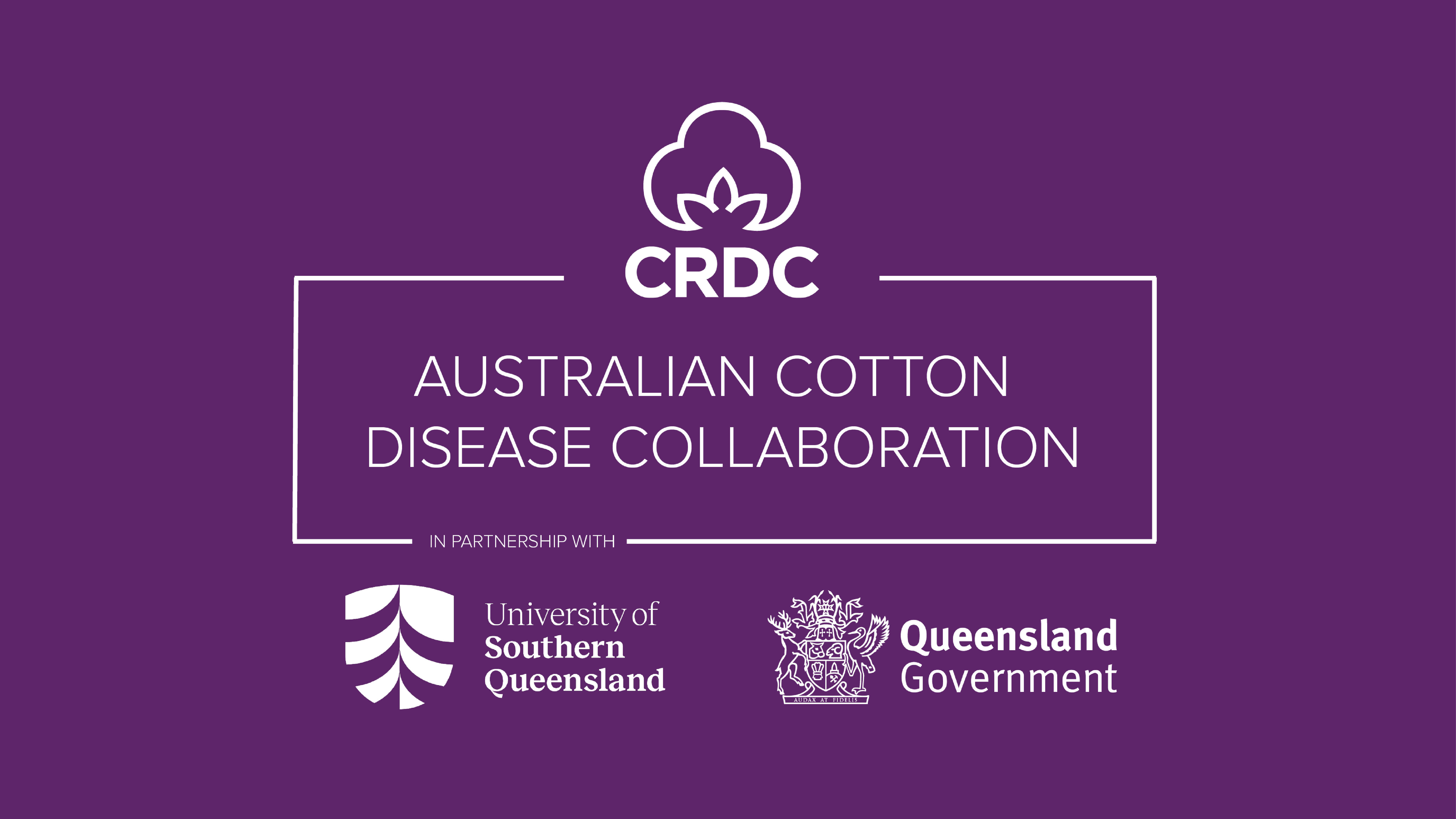 Australian Cotton Disease Collaboration | CRDC